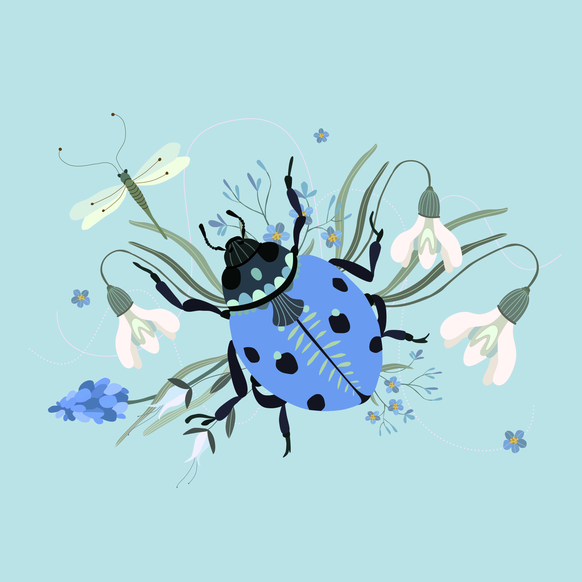 Hallo | LIV MATTHIESEN